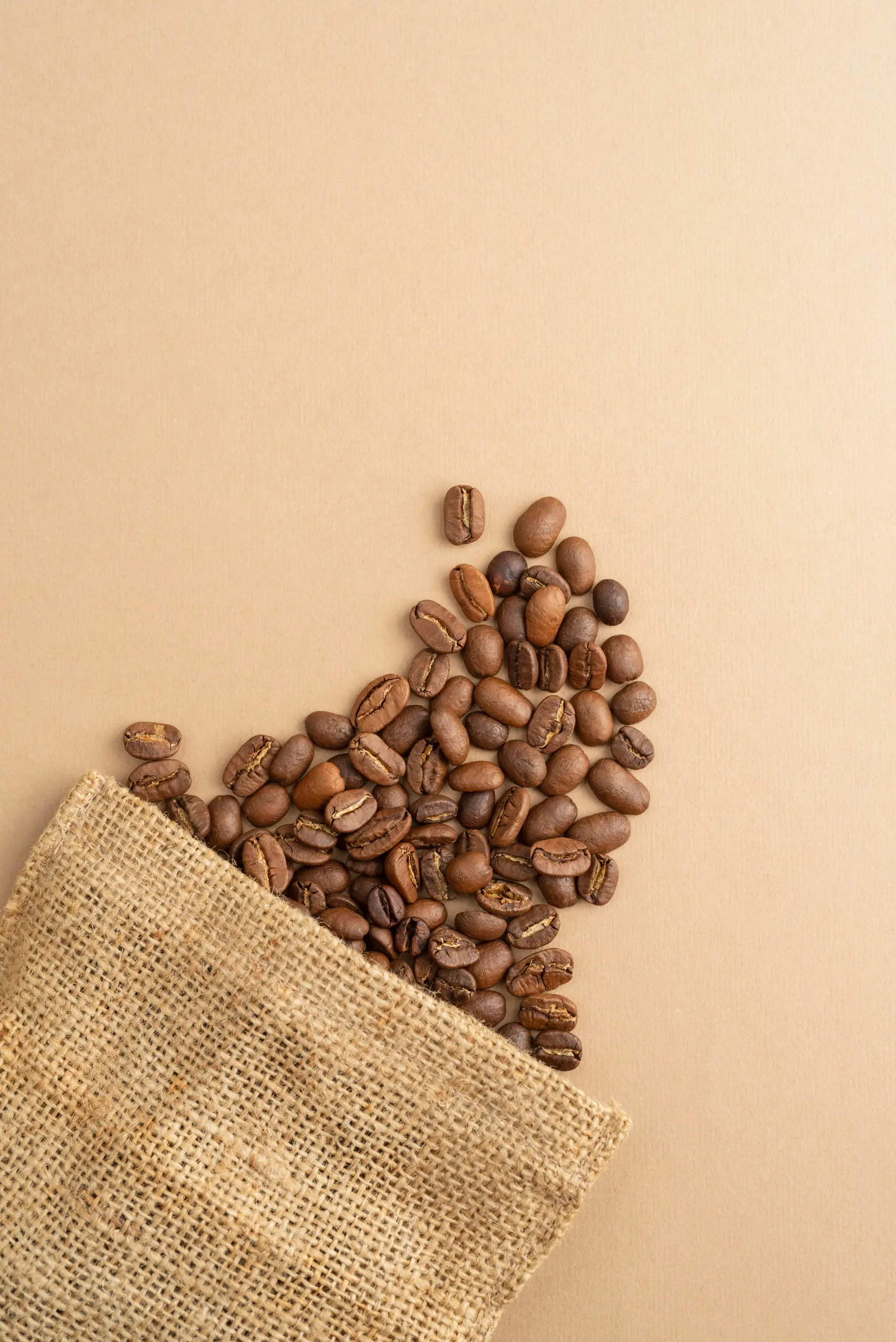 About Cafiniti: Premium Handcrafted Coffee in UAE